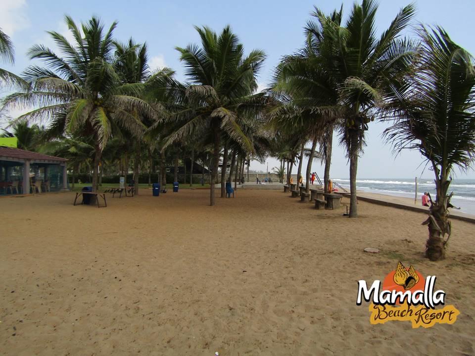 MAMALLA BEACH RESORT | ⋆⋆ | MAHABALIPURAM, INDIA | SEASON DEALS FROM $98