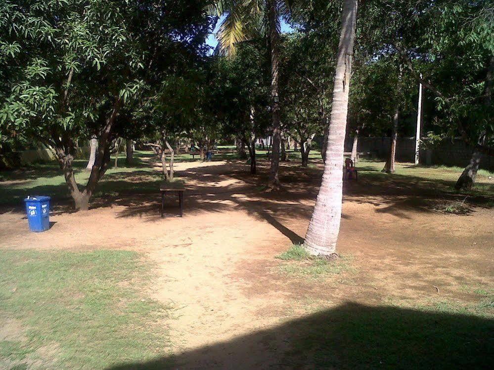 MAMALLA BEACH RESORT | ⋆⋆ | MAHABALIPURAM, INDIA | SEASON DEALS FROM $98